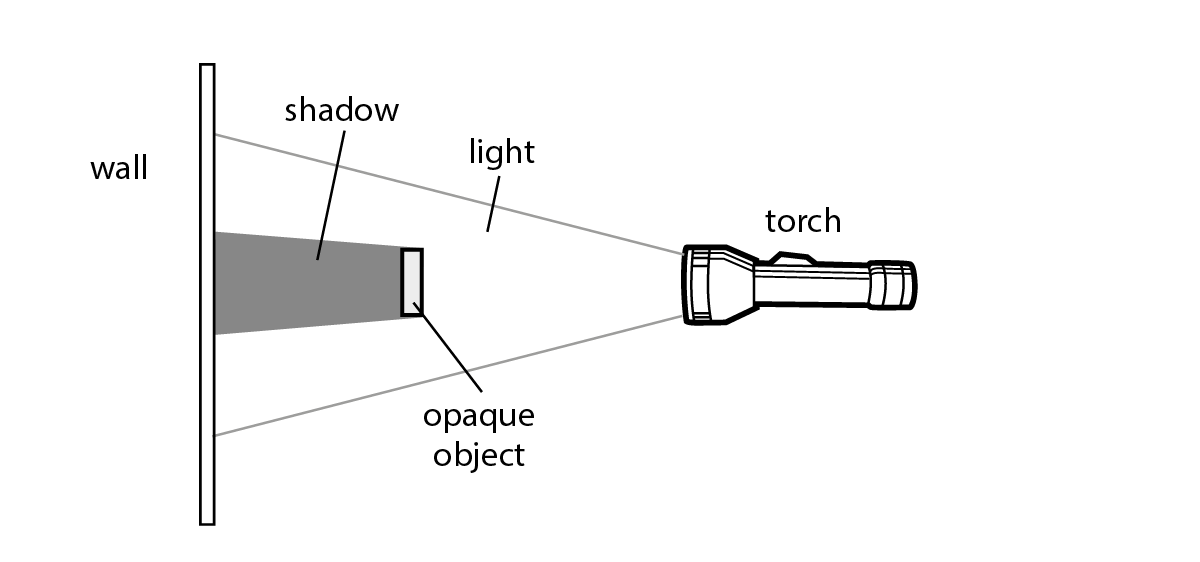 Energy | Primary Connections